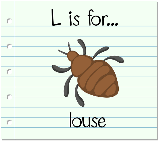 Head Lice Treatment | Head Lice Removal for the masses